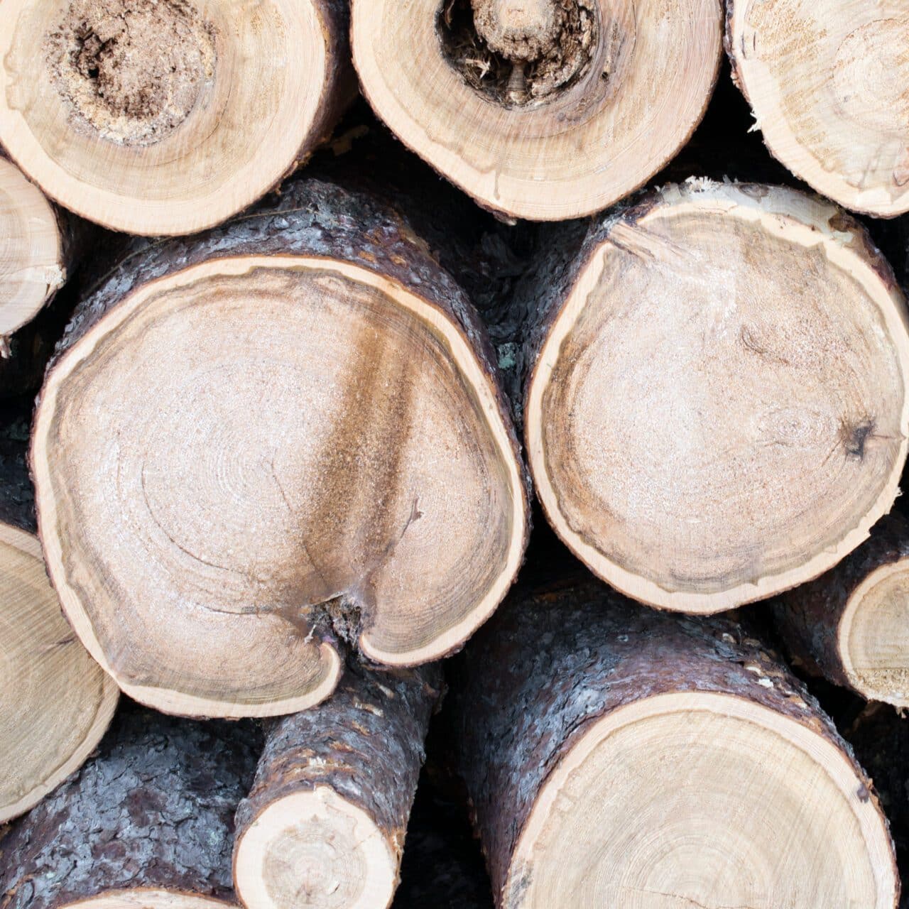 Tamarack Mesh Pallet - Wood N Smoke